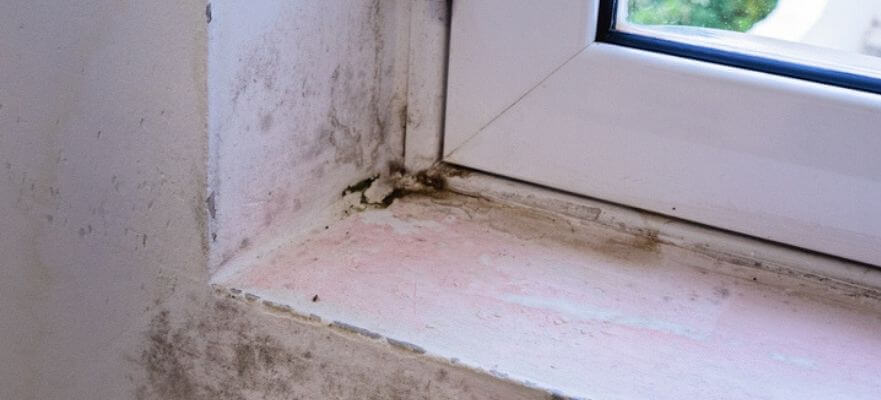 How to Prevent Mold on Window Sills | Allied Siding and Windows