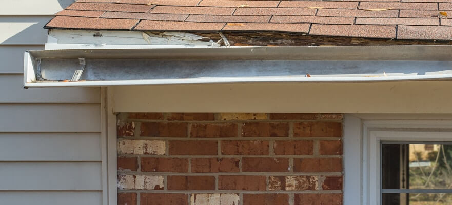 Signs You Need New Gutters | Allied Siding and Windows